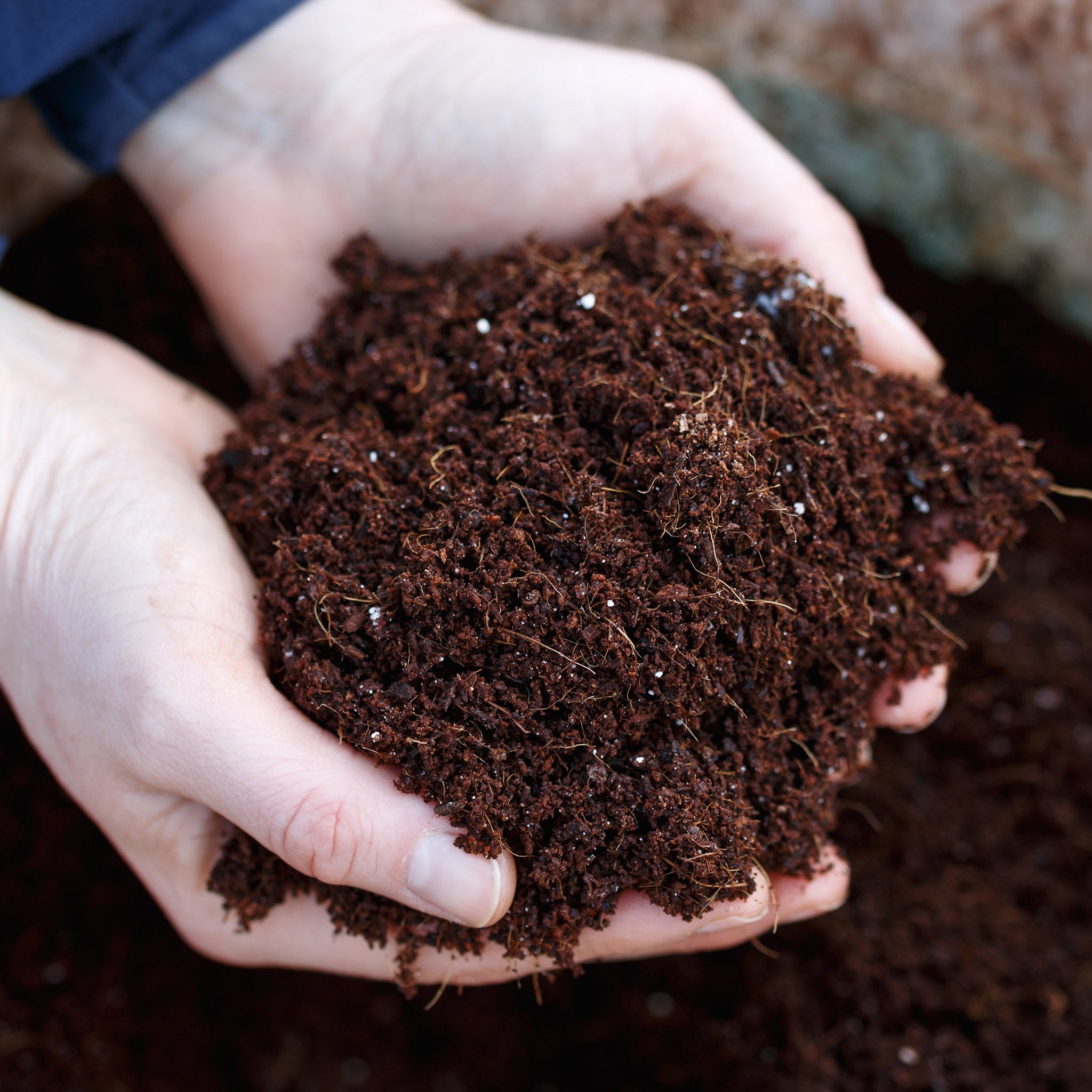 Soil & Growing Media | Peat-Free, Eco-Friendly Potting Solutions ...