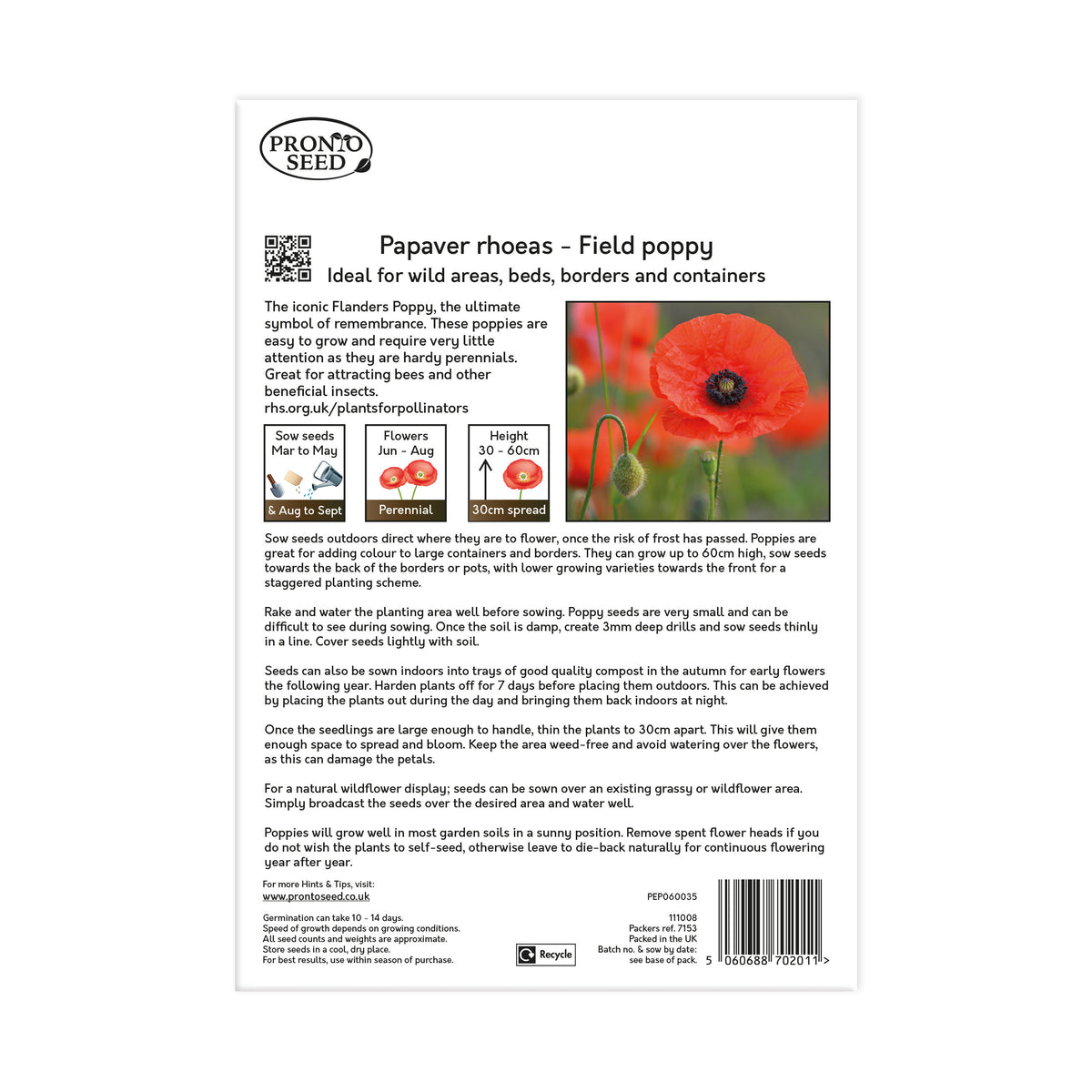 Poppy Flower Seeds - Papaver Rhoeas, Field Poppy - 10g – Pronto Seed