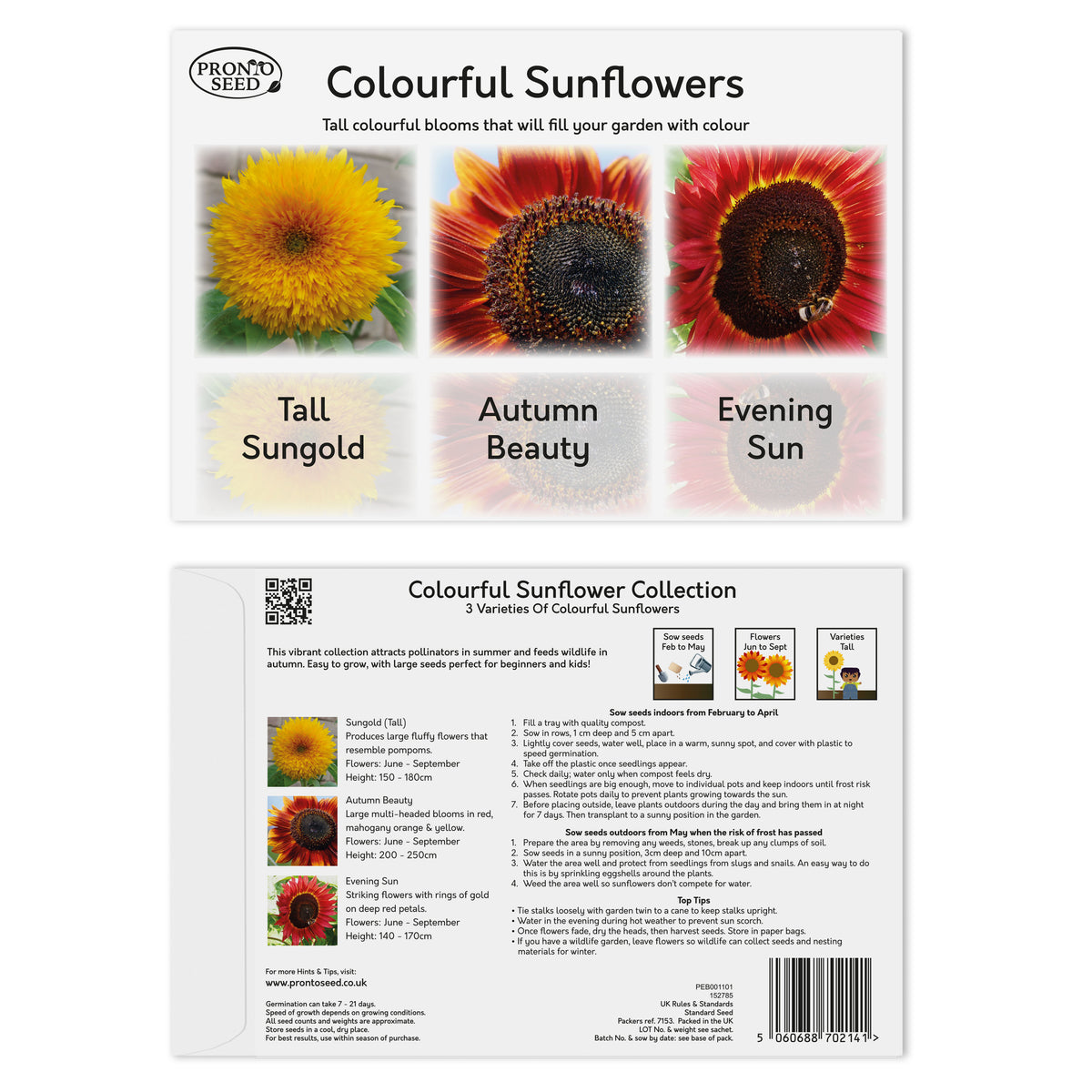 Sunflower Seed Collection 6 Sunflower Seed Varieties – Pronto Seed