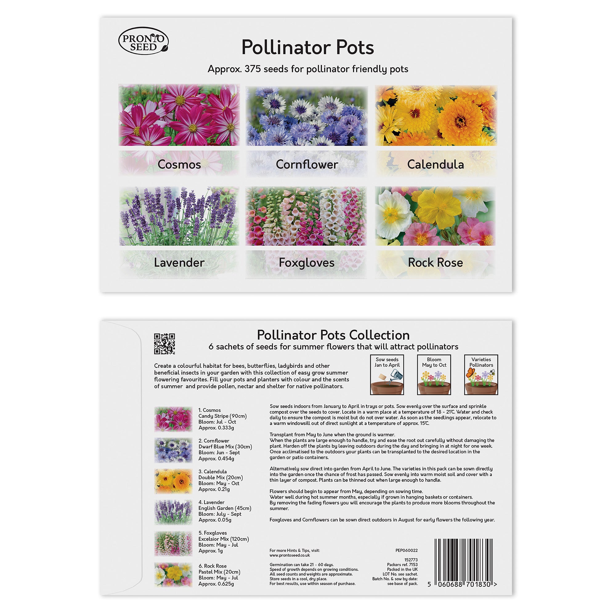 Flower Seeds – 14 Varieties, 1,400+ Seeds for Baskets & Pots – Pronto Seed